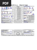 Tablas RULA | PDF | Factores humanos y ergonomía | Science