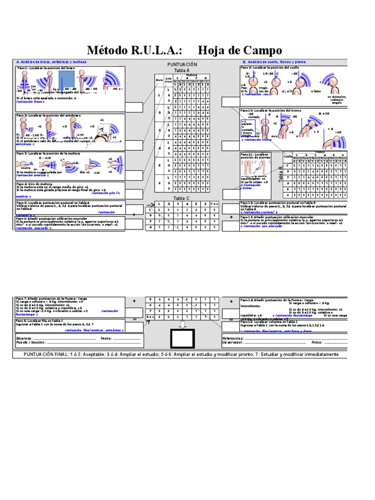 RULA Hoja de Campo | PDF | Deportes | Naturaleza