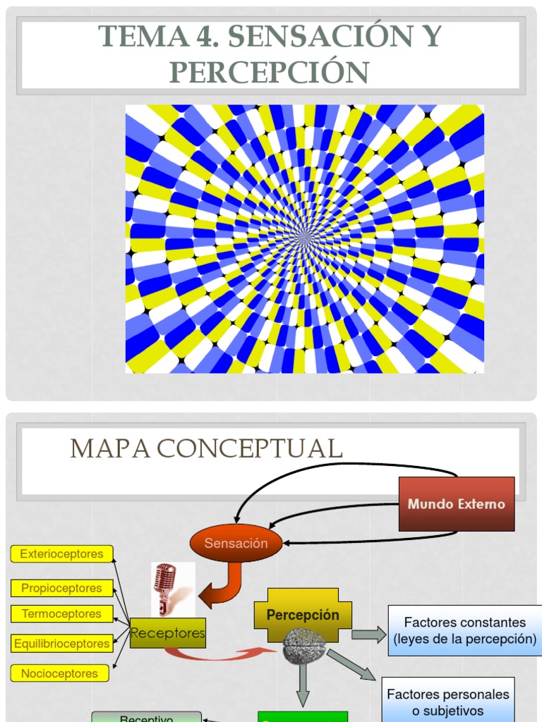 Unidad 4 Sensibilidad y Percepcic3b3n | PDF | Gusto | Percepción