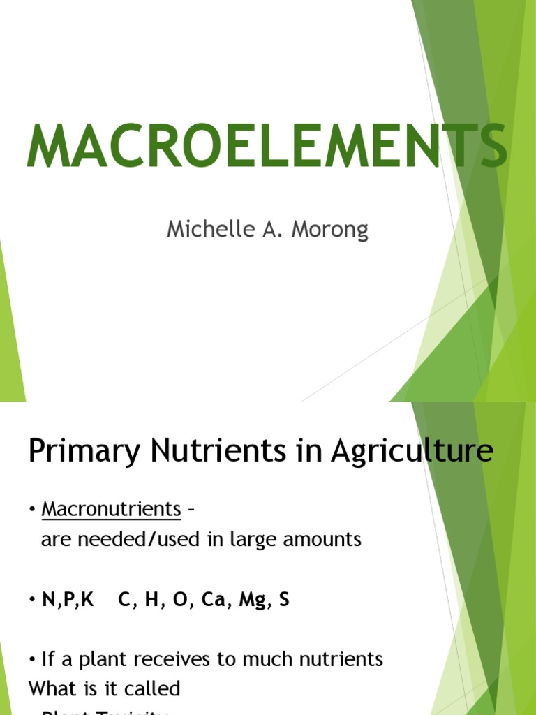 Macroelements: Michelle A. Morong | PDF | Plant Nutrition | Nutrients