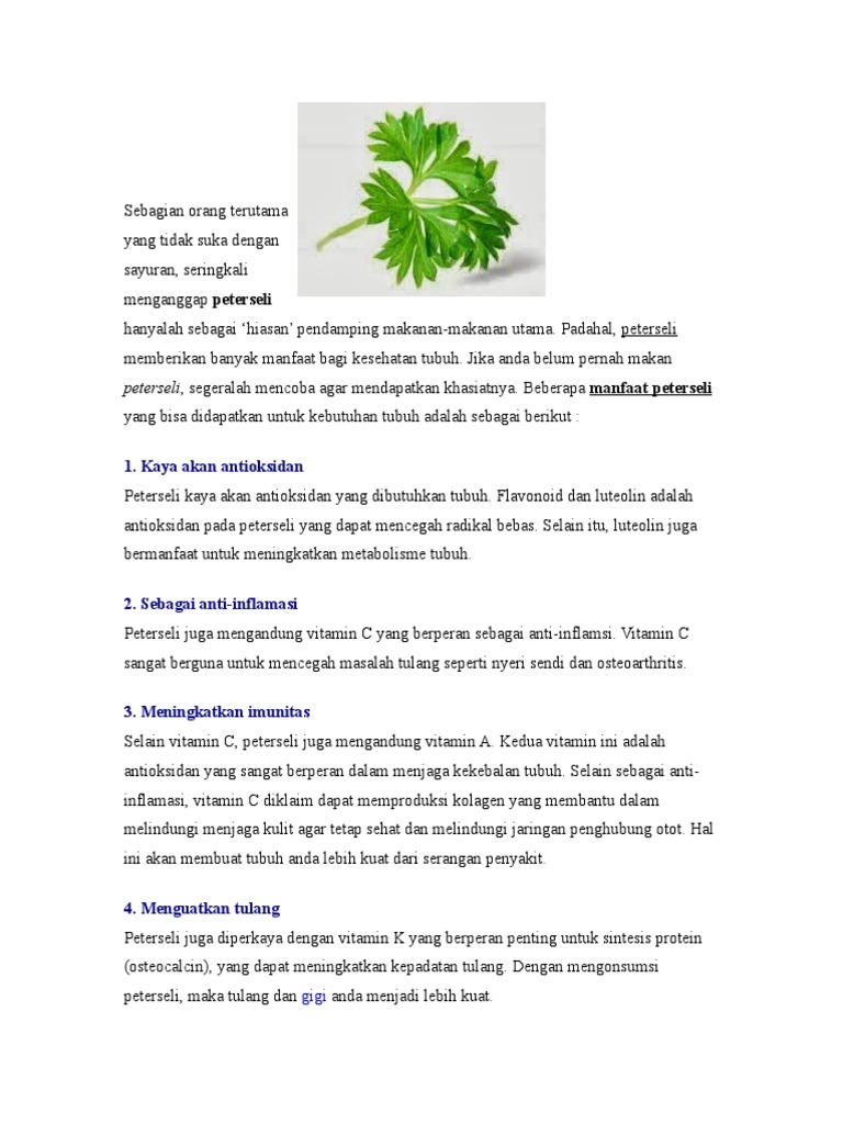 Manfaat Peterseli | PDF