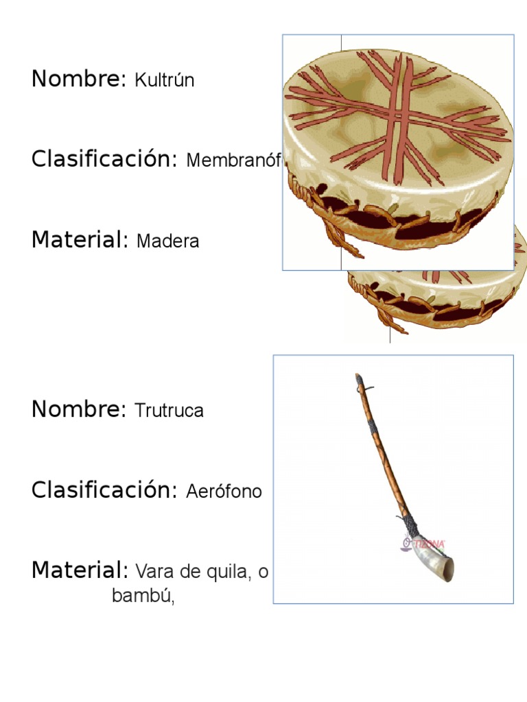 Instrumentos Mapuches | PDF
