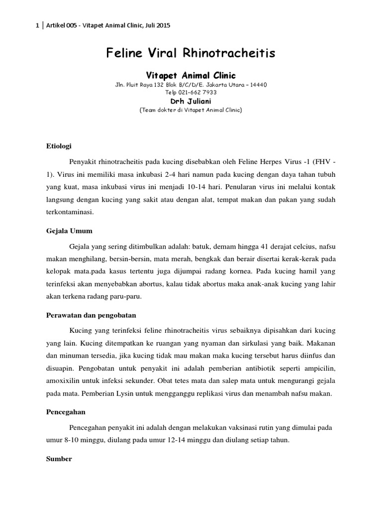 Feline Viral Rhinotracheitis - DRH ALIN PDF | PDF | Kesehatan Holistik