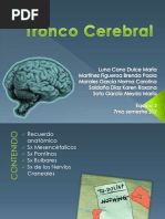 Sindromes Alternos | PDF | Sistema nervioso central | Neurología