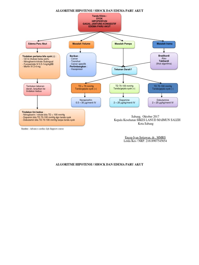 Algoritma Syok ACLS | PDF