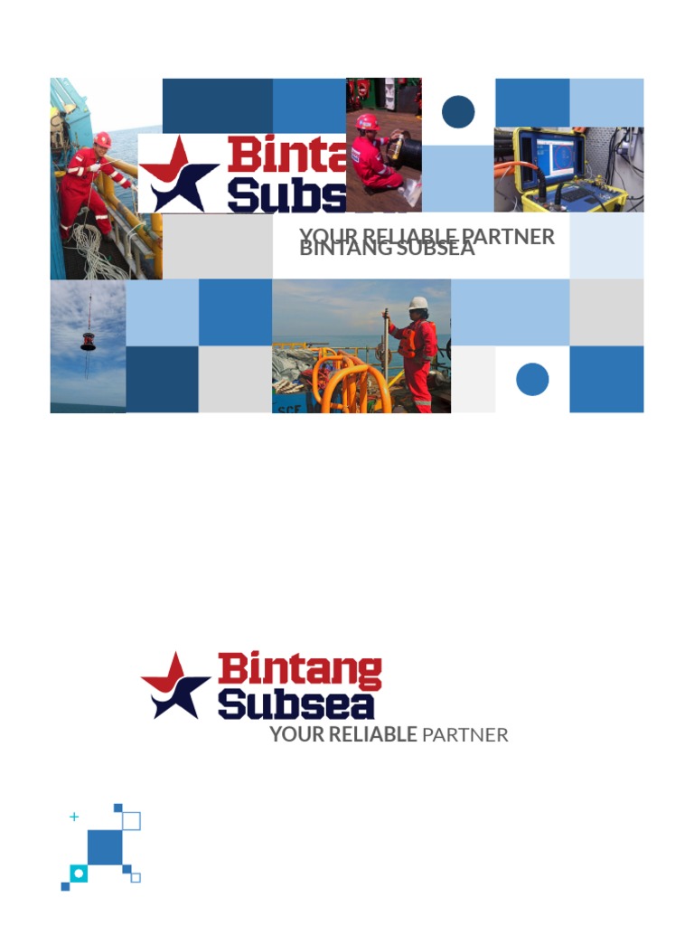 Offshore Survey & Inspection Experts | PDF | Subsea (Technology ...