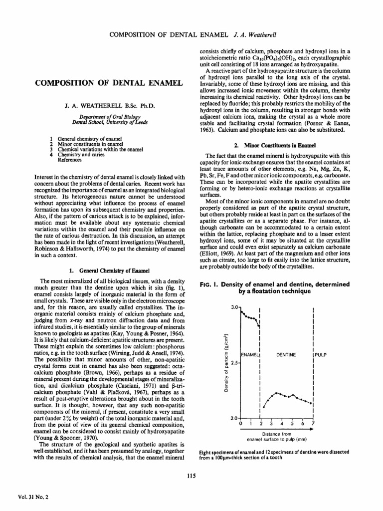 enamel composition | Tooth Enamel | Fluoride