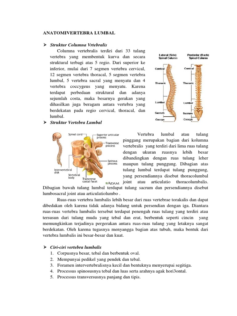 Fisioterapi Pada HNP | PDF