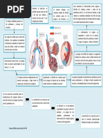 Termogenesis y Termolisis PDF | PDF | Agua | Termorregulación