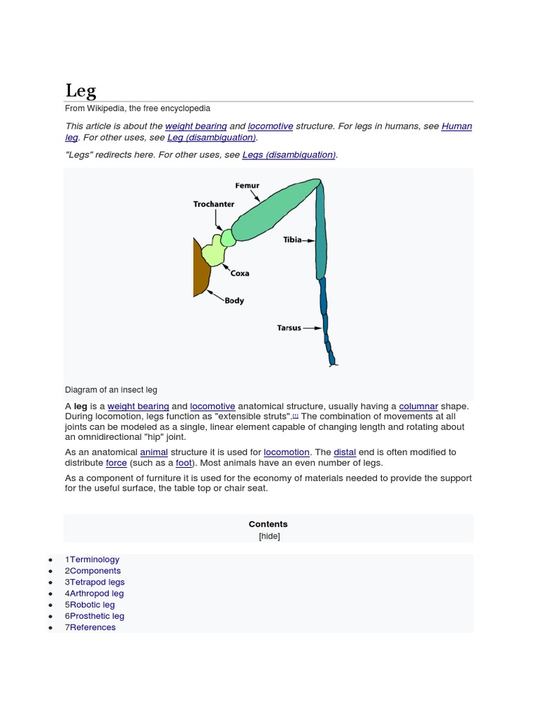 This Article Is About The and Structure. For Legs in Humans, See - For ...