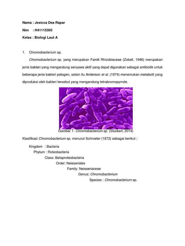 Contoh Organisme Mikrobiologi Laut | PDF