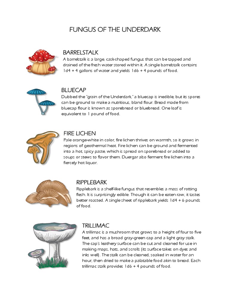 Fungus of the Underdark | Mushroom | Edible Mushroom