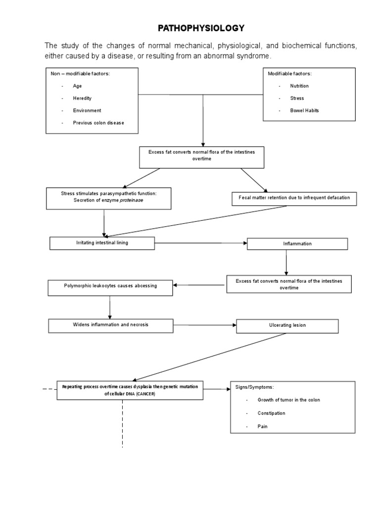 Colon Cancer Pathophysiology Overview | PDF | Colorectal Cancer ...