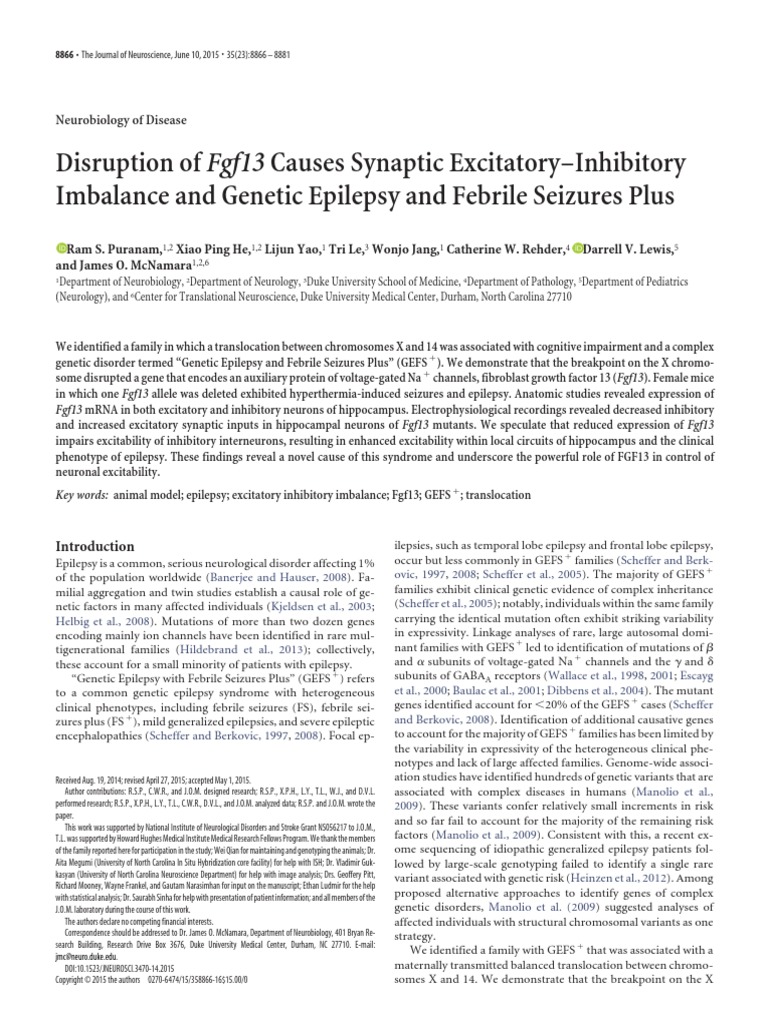 Fgf13 Causes Synaptic Excitatory-Inhibitory: Disruption of Imbalance and Genetic Epilepsy and ...