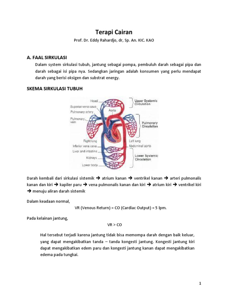 Terapi Cairan - Prof. Ed | PDF