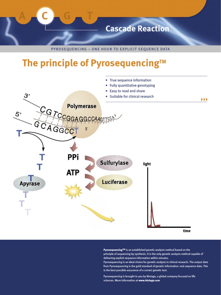The Principle of Pyrosequencing | Adenosine Triphosphate | Biochemistry