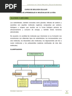Micro, Matro y Macroambiente PDF | PDF | El embarazo | Embarazo Mamífero