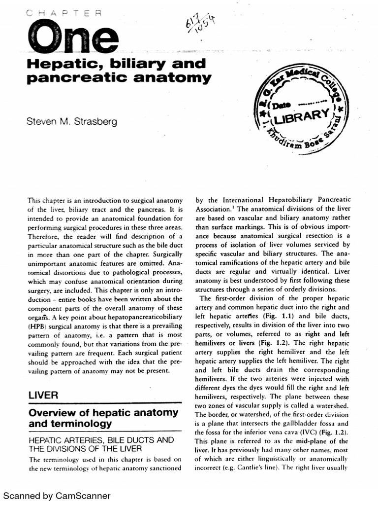 Anatomy of Liver | PDF
