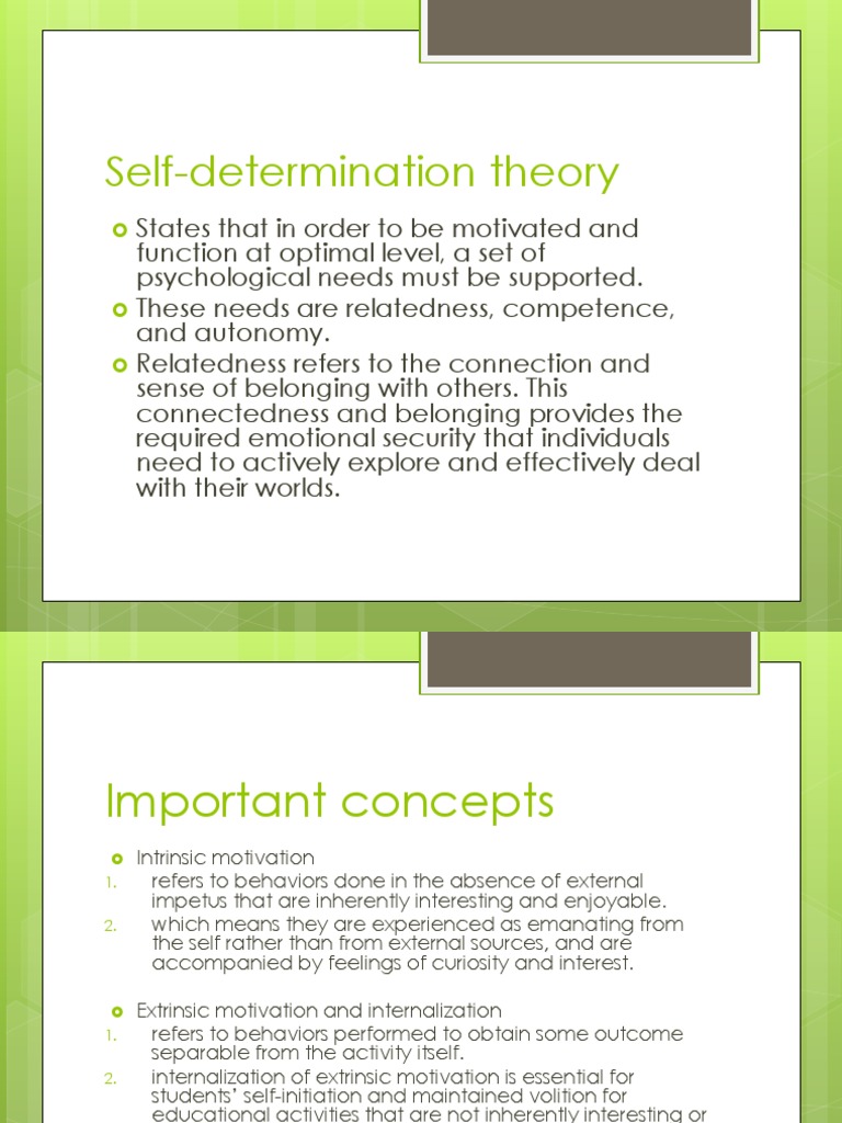 Self-Determination Theory | PDF | Psychological Theories | Motivation
