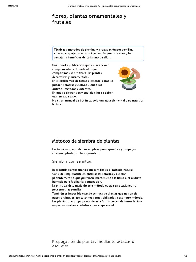 Como Sembrar y Propagar Flores, Plantas Ornamentales y Frutales | PDF ...