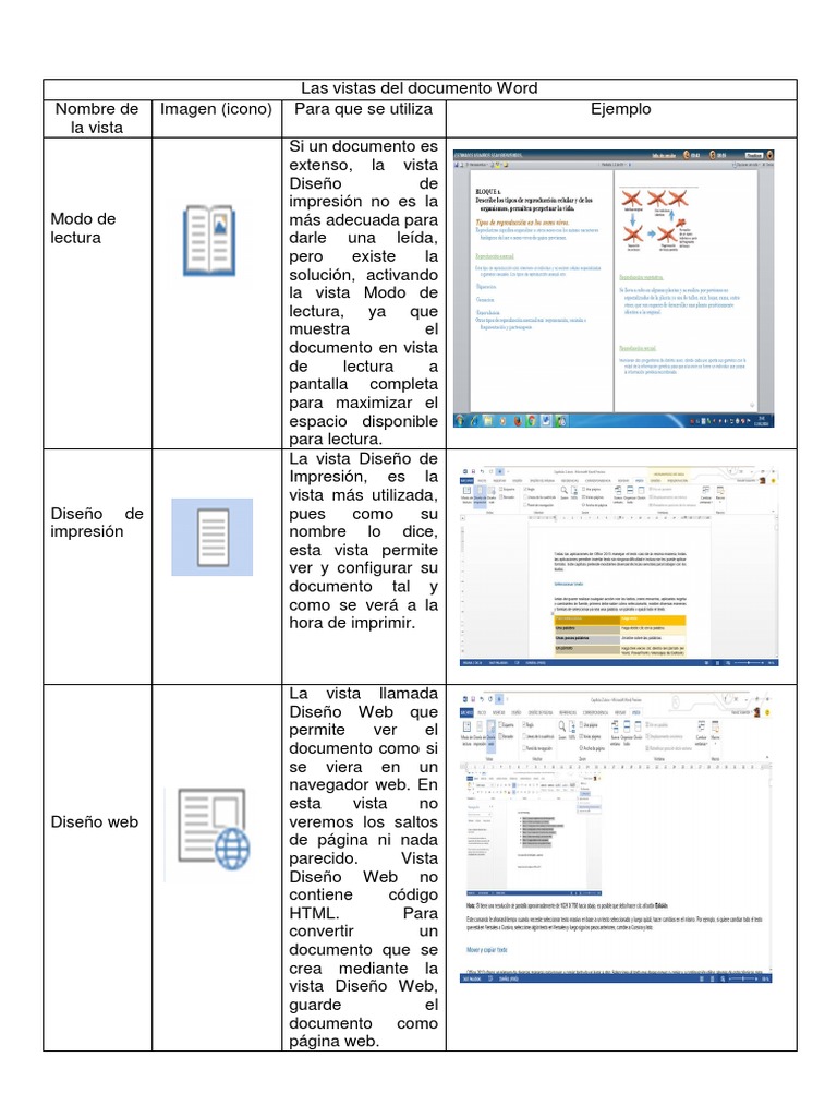Las Vistas Del Documento Word | PDF | Diseño web | Red mundial