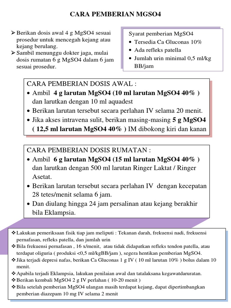 Protap MGSO4 | PDF