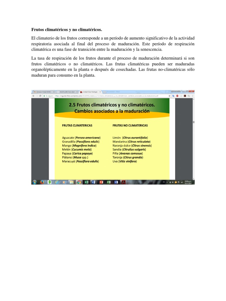 Frutos Climatéricos y No Climatéricos | PDF