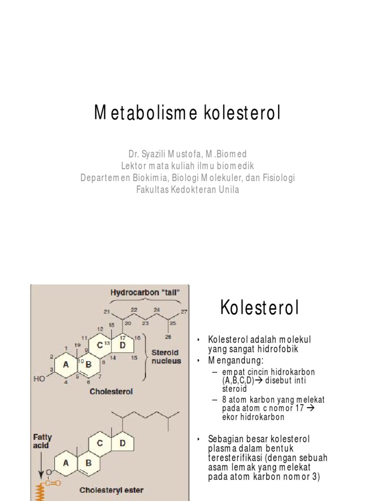 Metabolisme Kolesterol | PDF