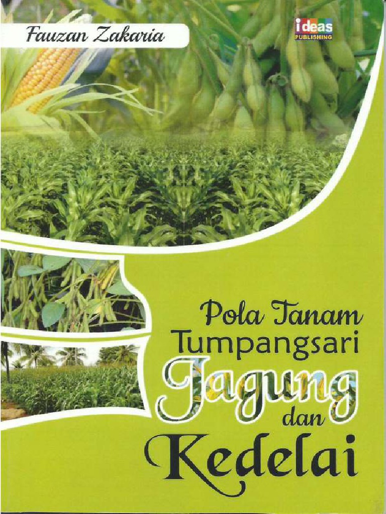 Buku Pola Tanam Tumpangsari Jagung Dan Kedela | PDF