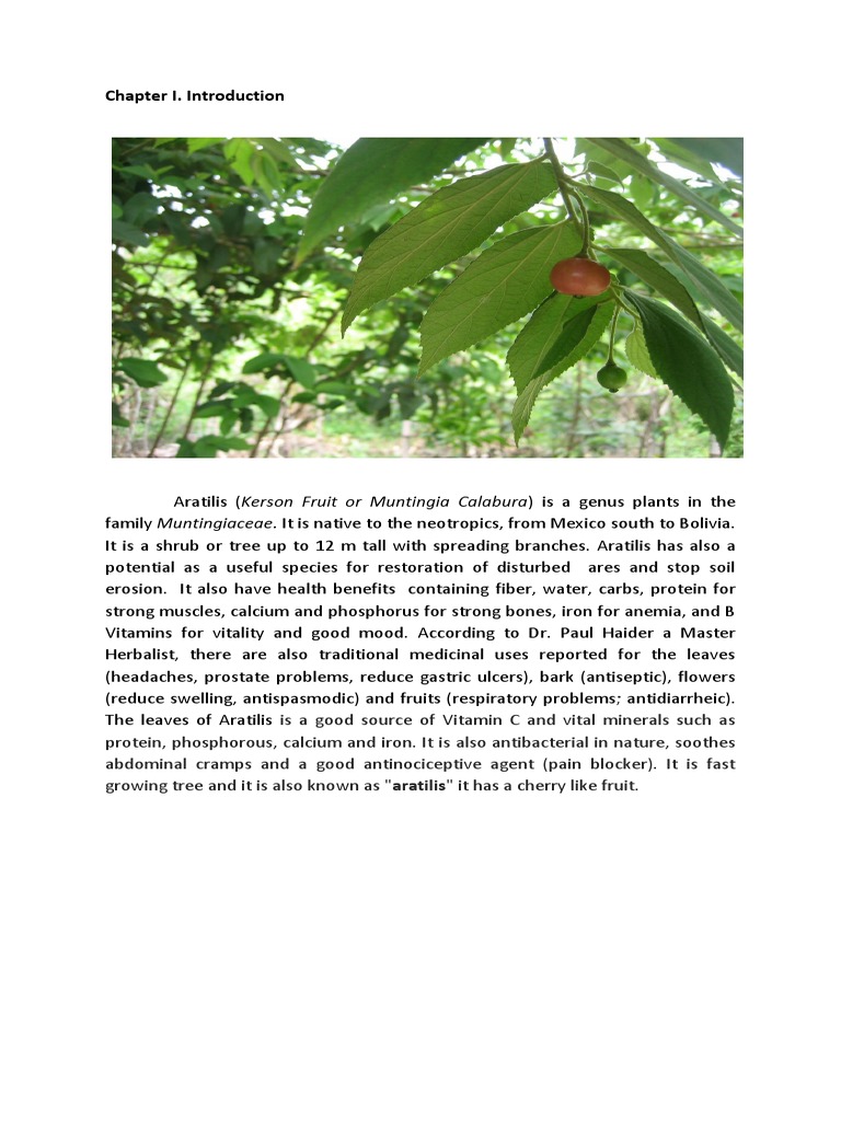 Chapter I. Introduction | PDF | Wellness