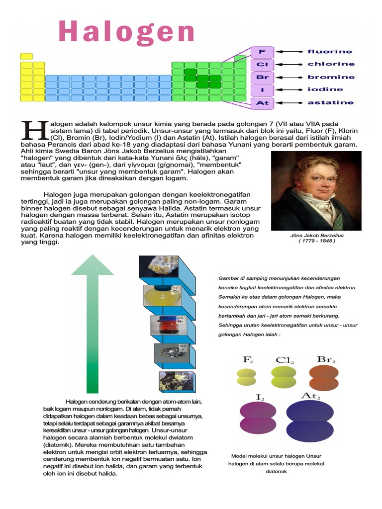 Unsur Halogen: Fluor dan Astatin | PDF