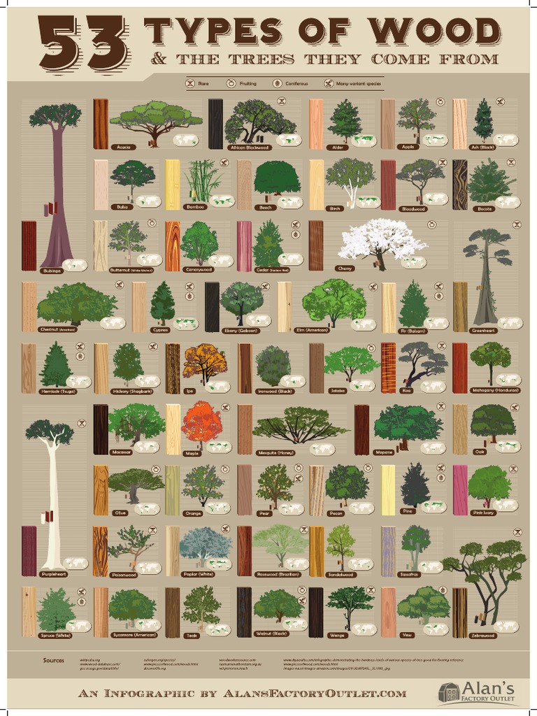 53 Types of Wood Printable PDF | PDF