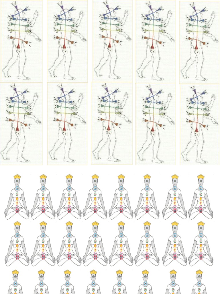 Laminas Salud Holística Chakras | PDF | Riñón | Cerebro