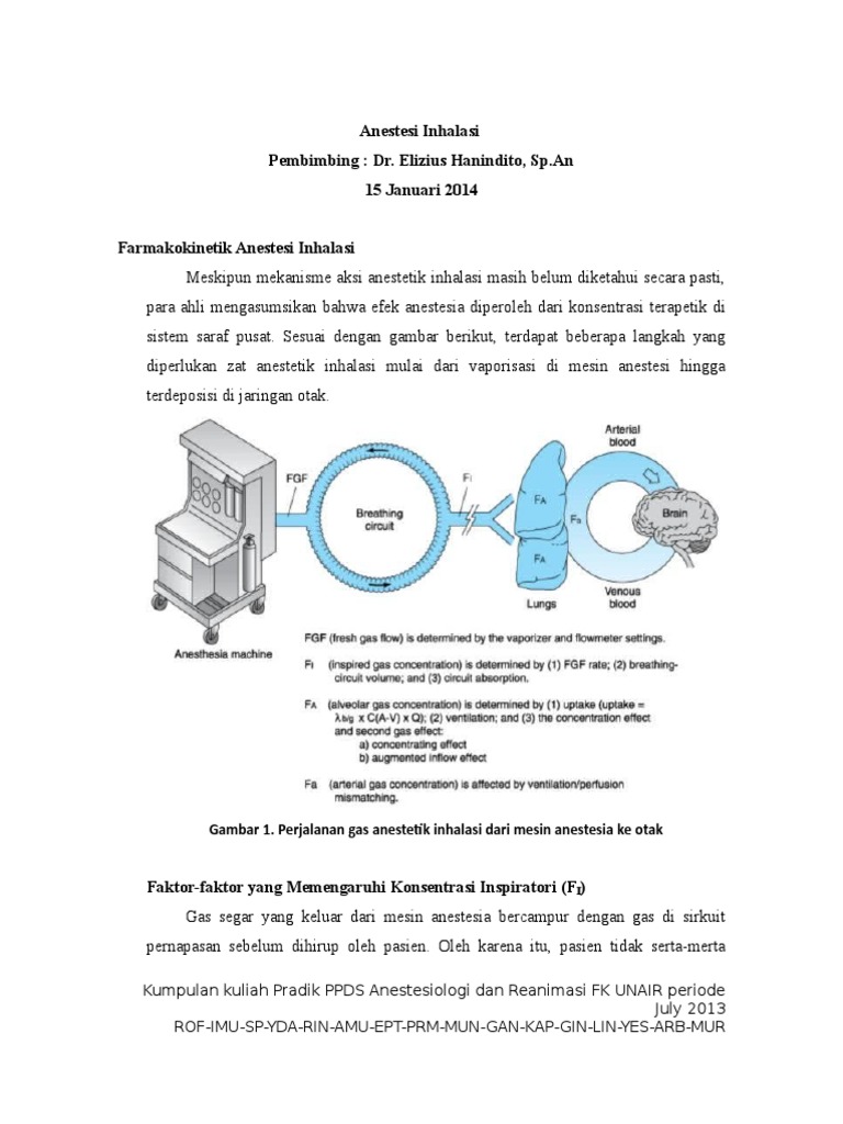 Anestesi Inhalasi LIN | PDF