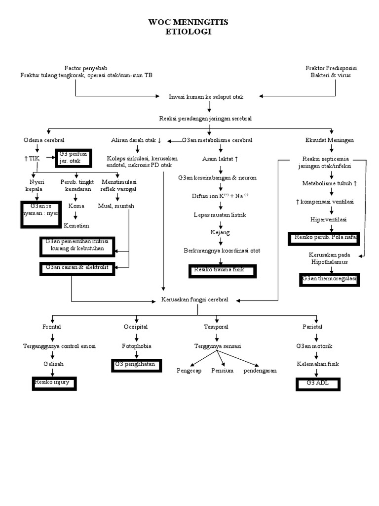 Pathway Meningitis | PDF