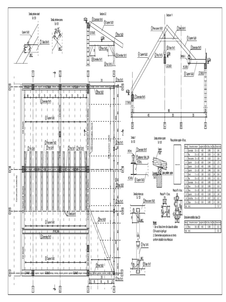 Plan Sarpanta Si Detalii