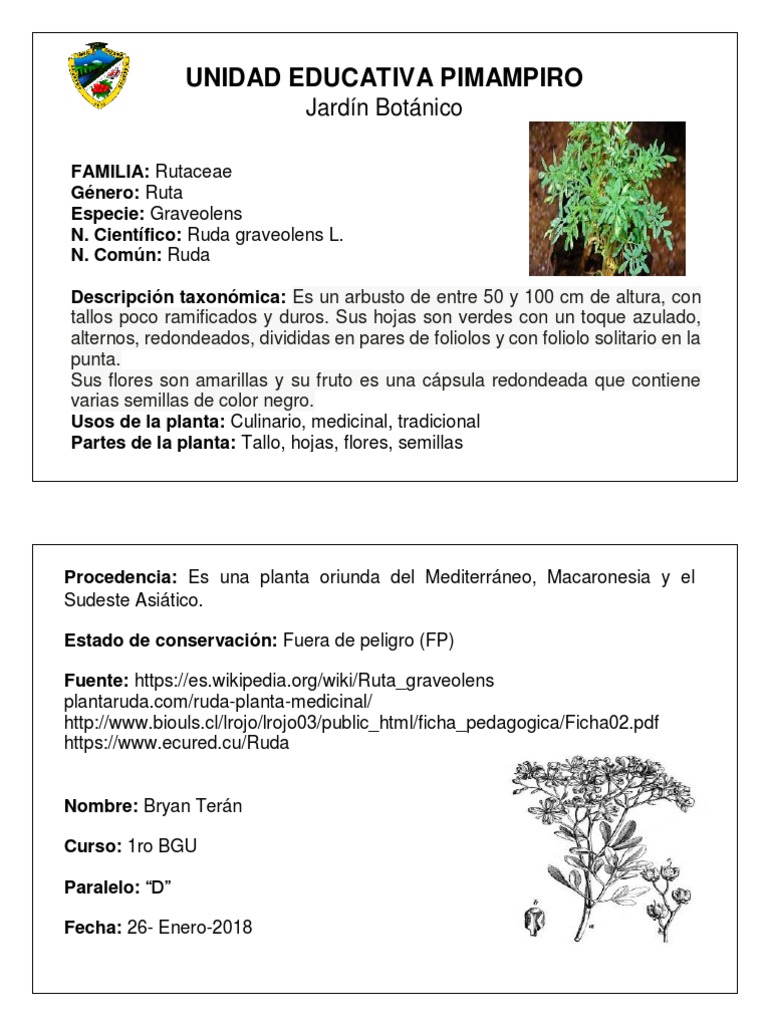 Tarjeta Planta | PDF