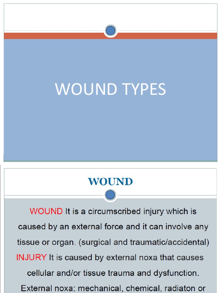 Vulnus Types | PDF