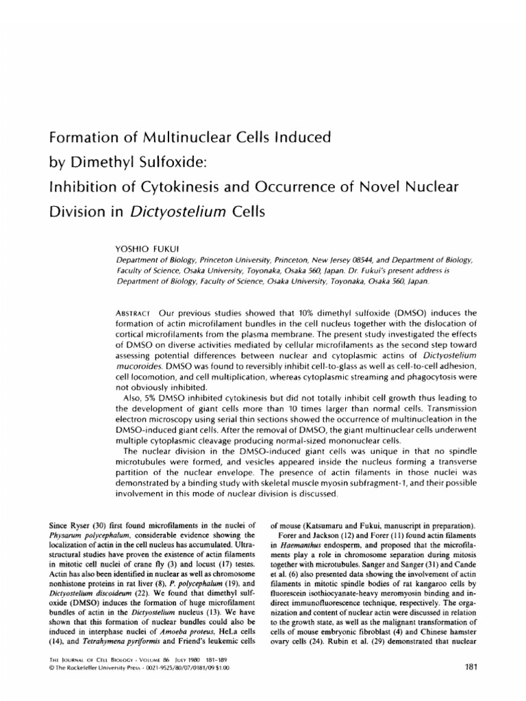 Formation of Multinuclear Cells Induced by Dimethyl Sulfoxide ...