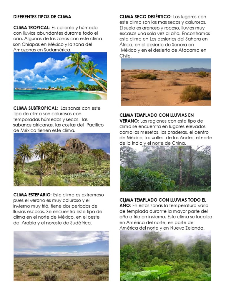 Diferentes Tipos de Clima | PDF