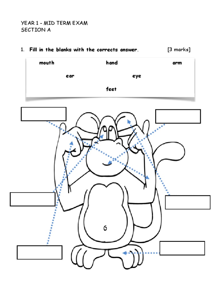 Grade 1 Science Mid-Term Exam Paper | PDF | Foods | Plants