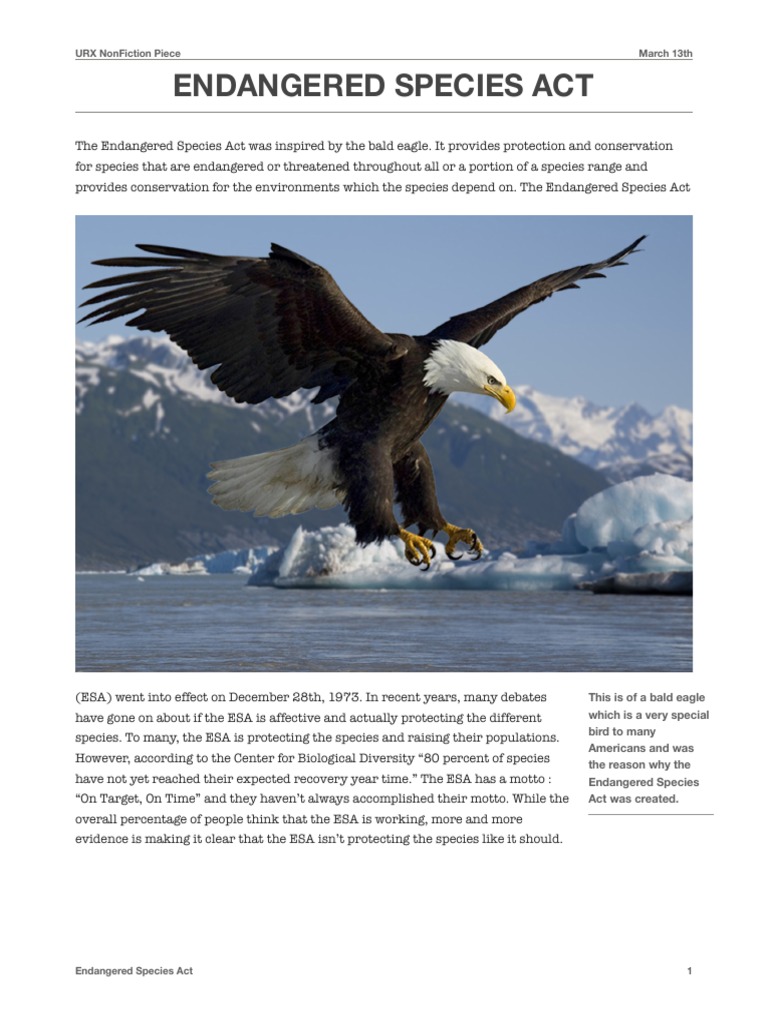 Simple Newsletter | PDF | Endangered Species Act Of 1973 | Endangered ...