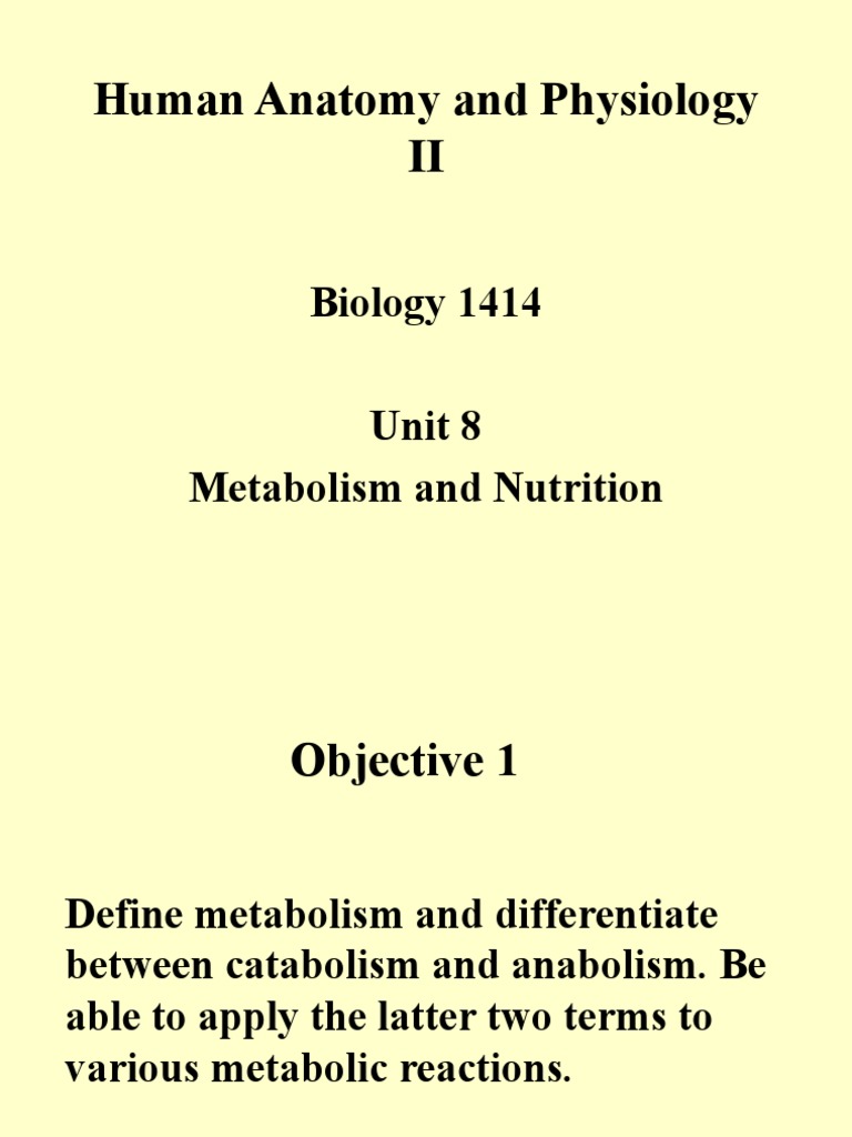 Human Anatomy and Physiology II: Biology 1414 Unit 8 Metabolism and ...