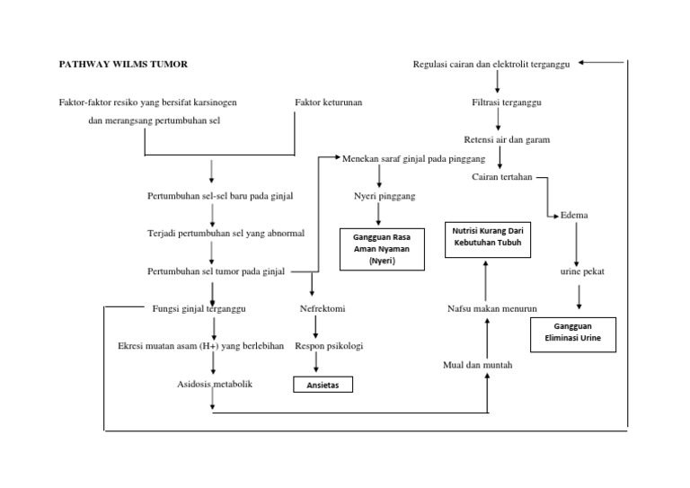 Pathway Wilms Tumor