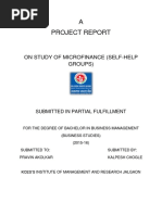 Digaf Mfi Profile | PDF | Microfinance | Loans