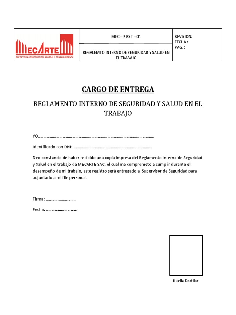 Formato de RISST | PDF