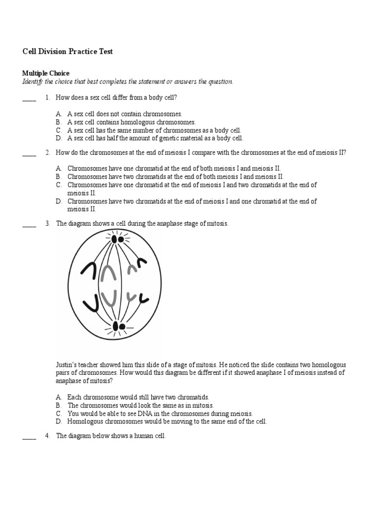 Cell Division Practice Test | Download Free PDF | Mitosis | Meiosis