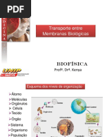 Hialoplasma: Composição e Funções Celulares | PDF | Citosol | Célula ...