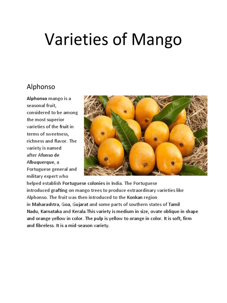 Varieties of Mango | PDF | Mango | Edible Fruits