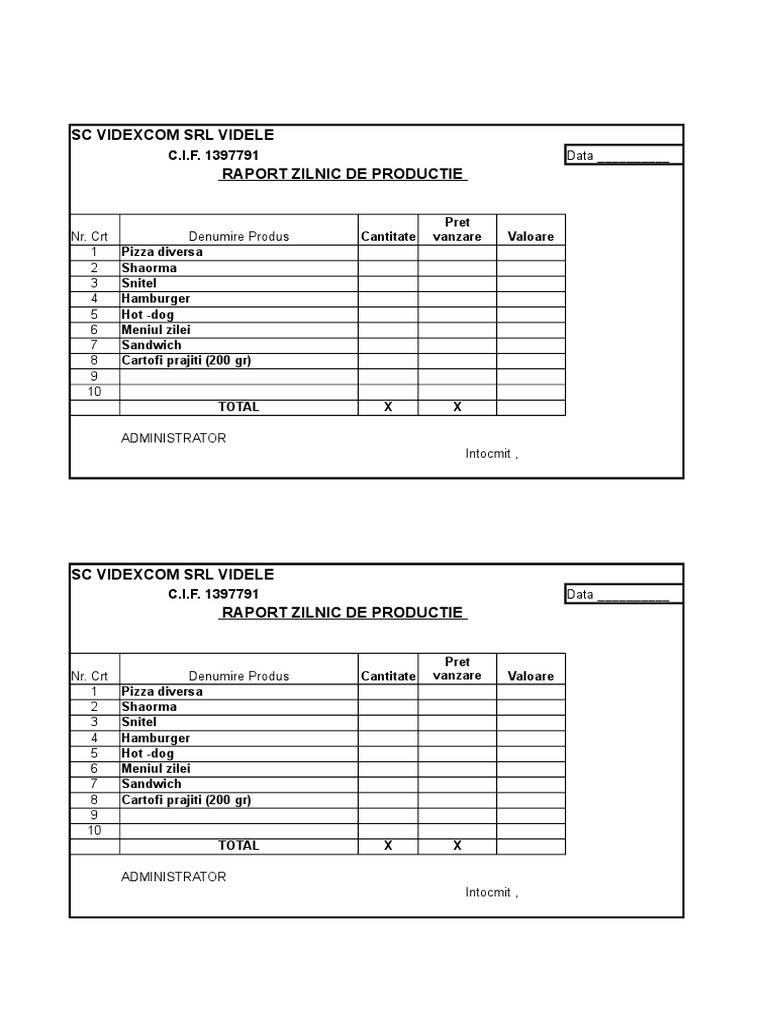 Model Raport Productie | PDF